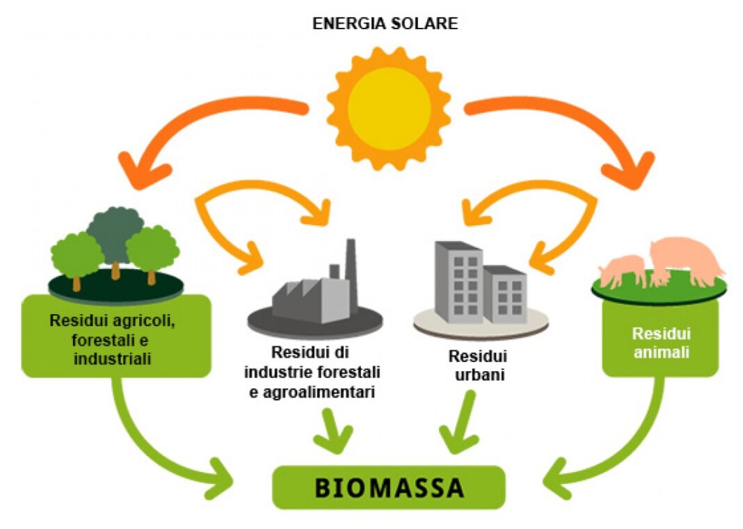 Biomassa: processi termochimici e biochimici per la produzione di energia