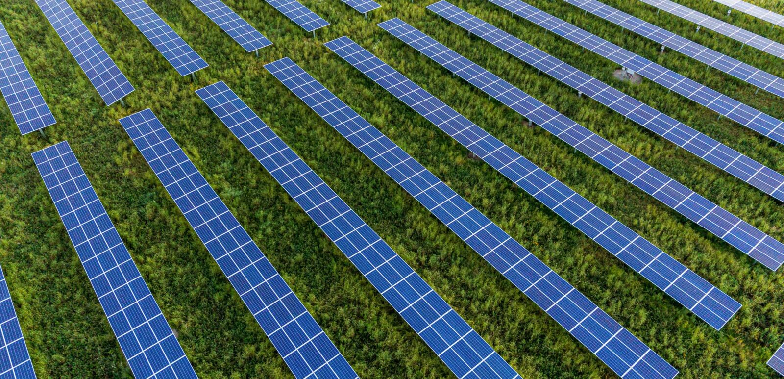 Il parco solare Aurora: energia e tutela dell'ambiente