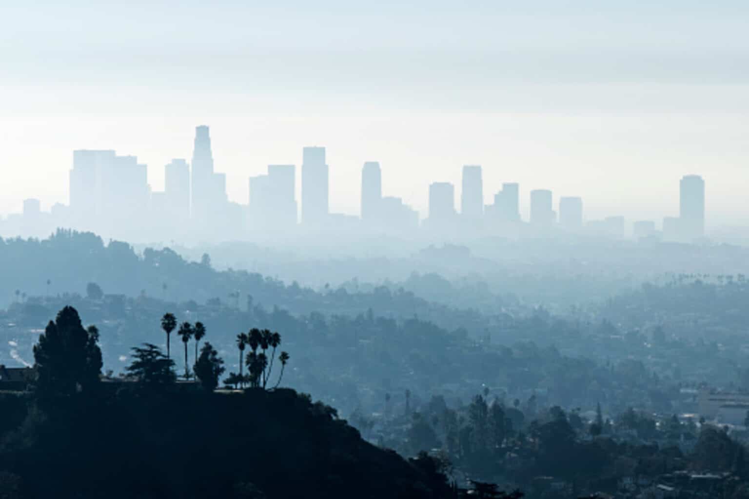 Smog: cos'è, come si forma e conseguenze sull'ambiente